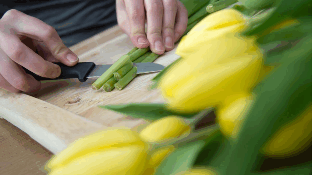 Stiele richtig anschneiden – längere Haltbarkeit im Glas - Rezepte & Tipps